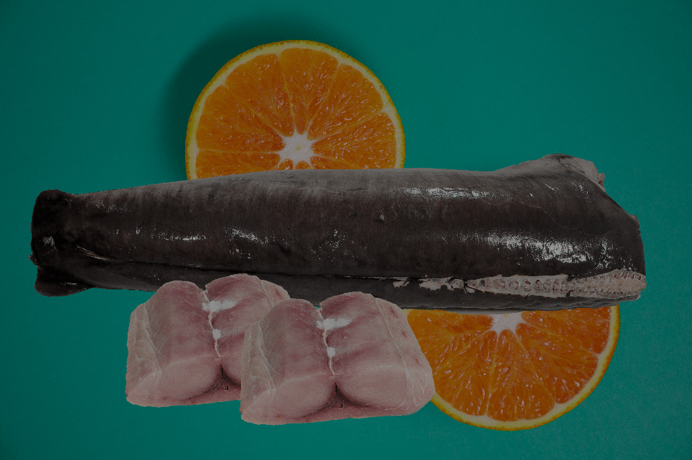 Sword fish Products – Southern Sea Food